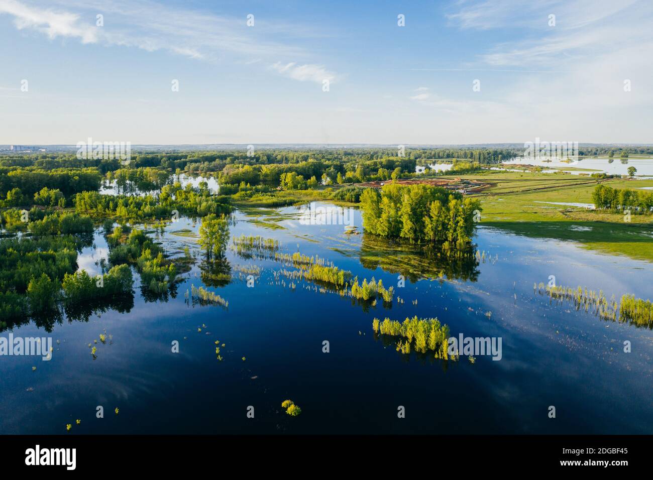 Trees line grown in high water, river landscape Stock Photo - Alamy
