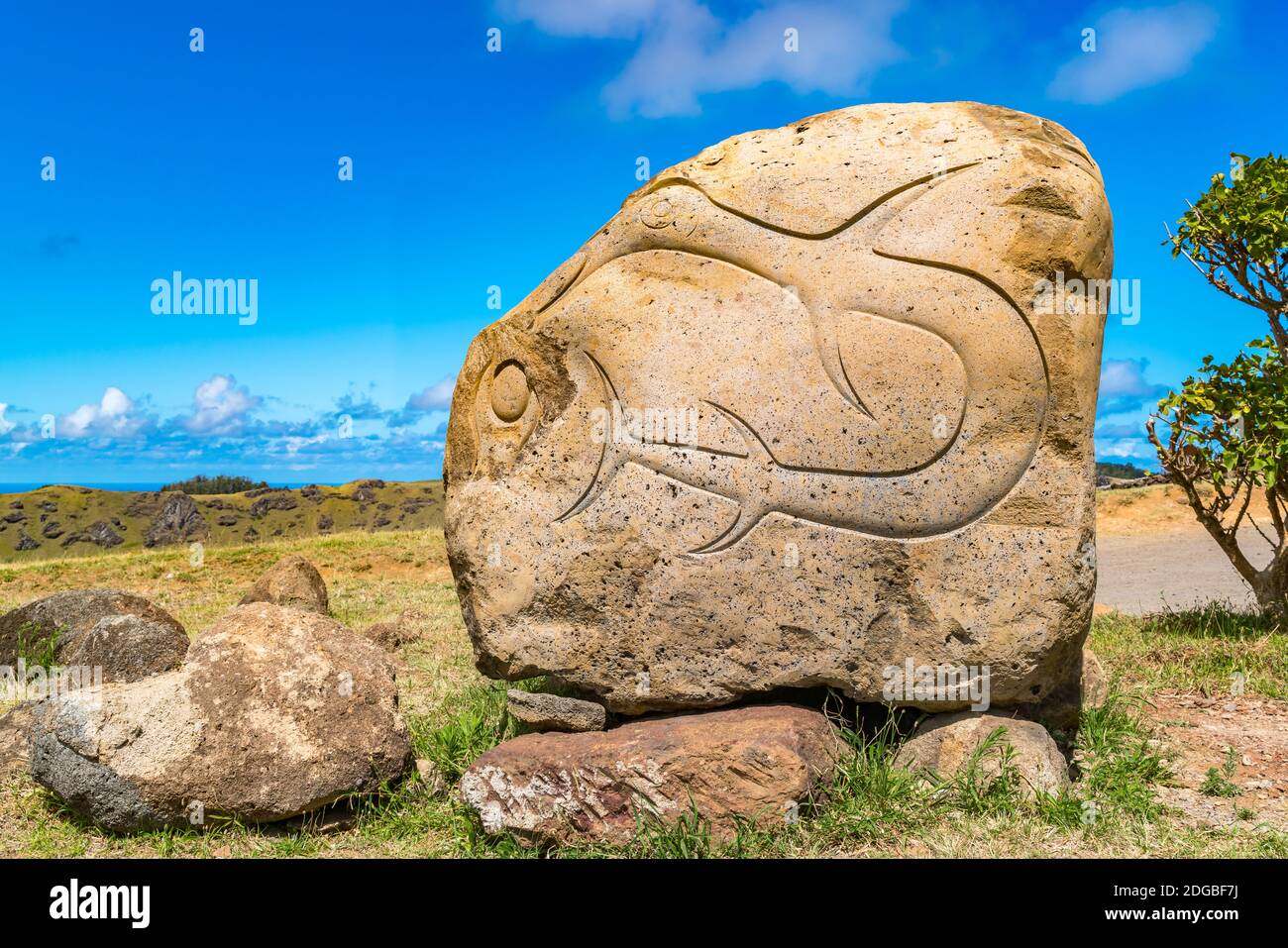 Petroglyph on Easter Island or Rapa Nui Stock Photo - Alamy
