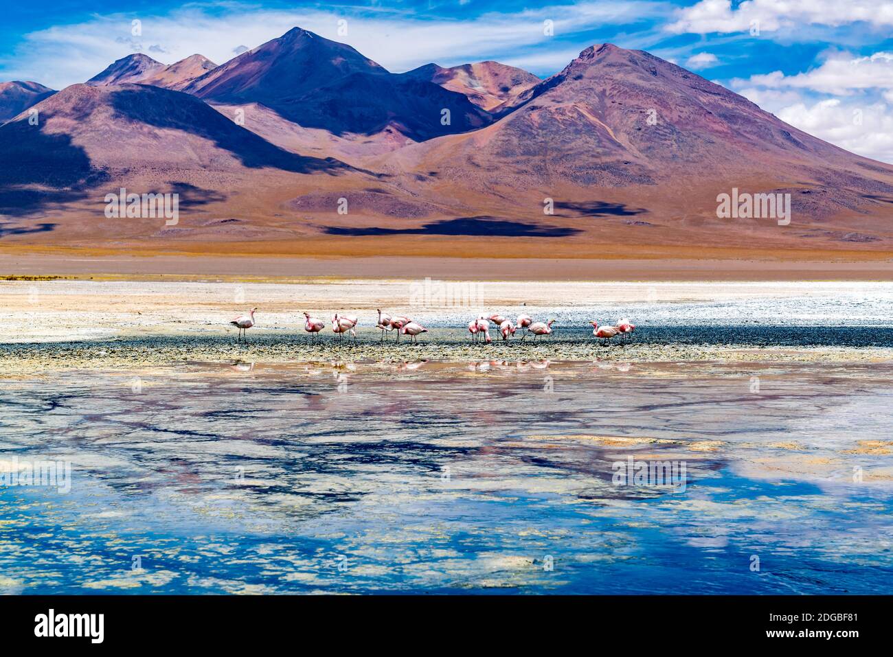 Andean plateau hi-res stock photography and images - Alamy
