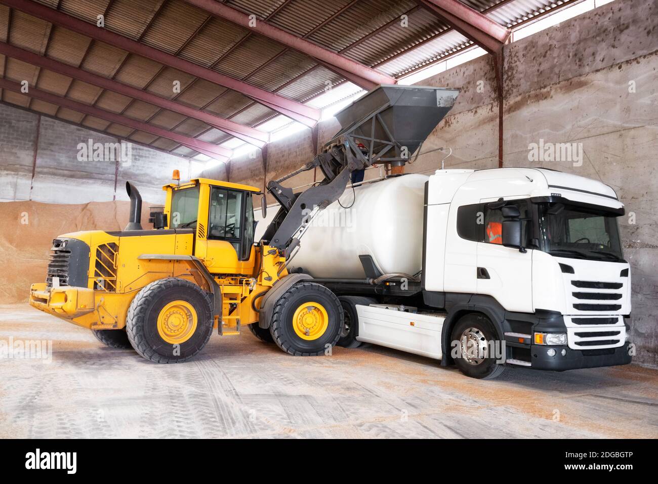 Tractor loading grain into truck at at grain processing plant warehouse ...