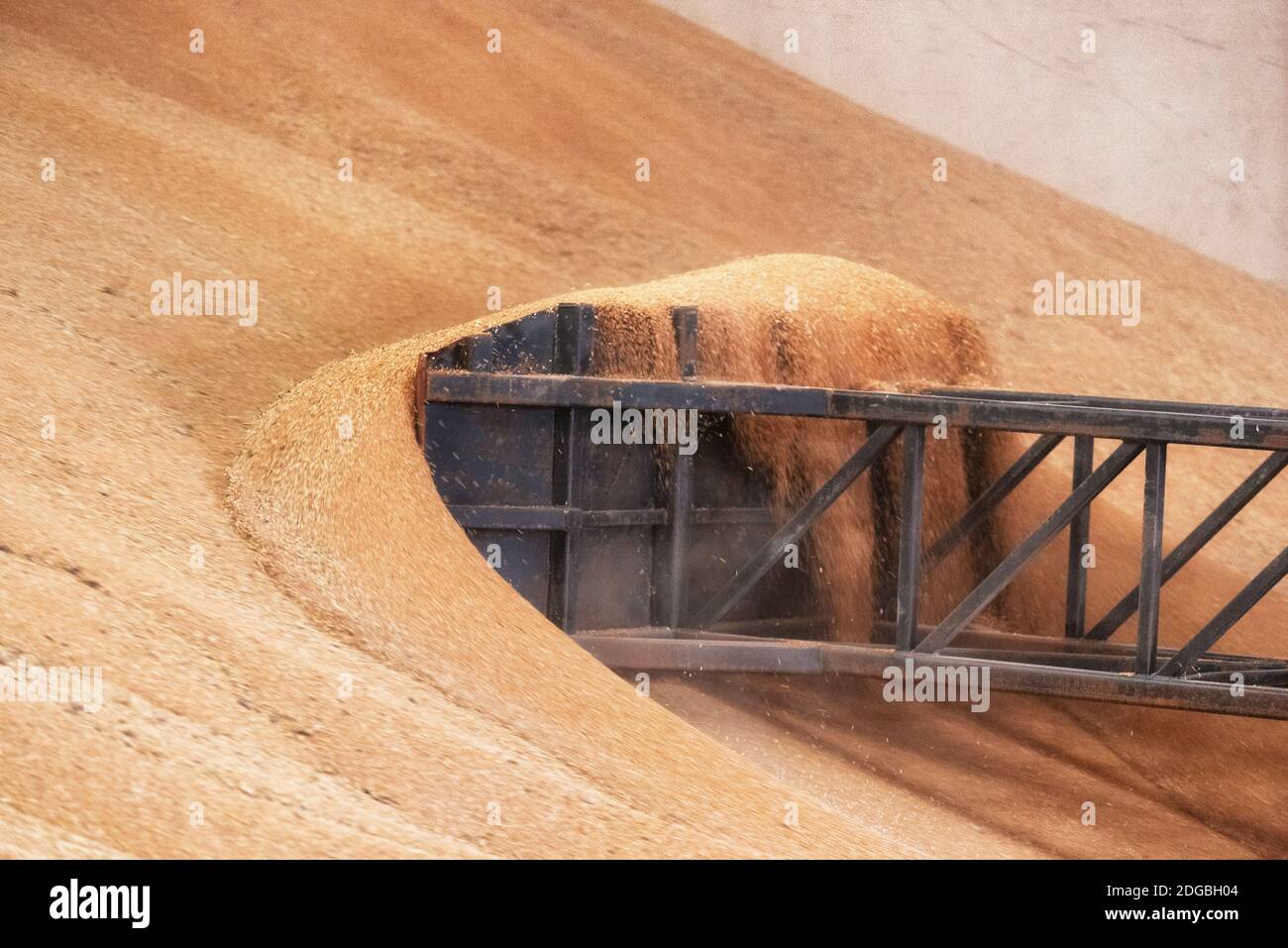 Grain Wheel High Resolution Stock Photography and Images - Alamy