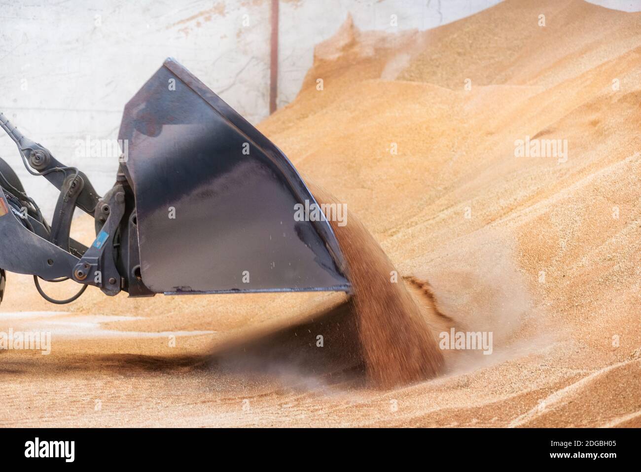 Wheel loader close up, excavator loading sand at construction site ...