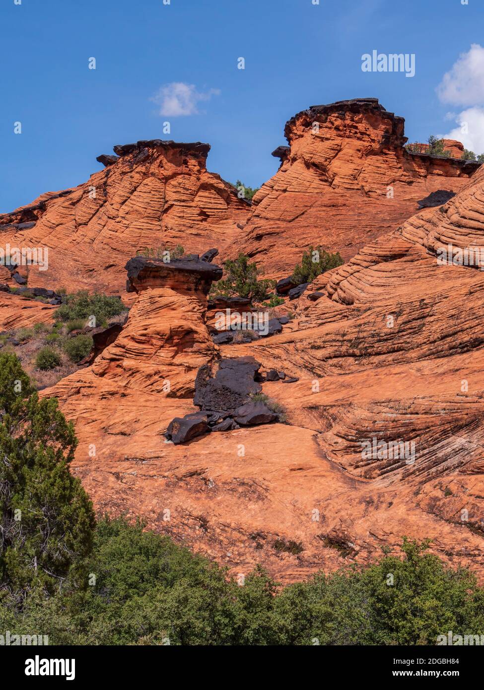 Red navajo sandstone hi-res stock photography and images - Alamy