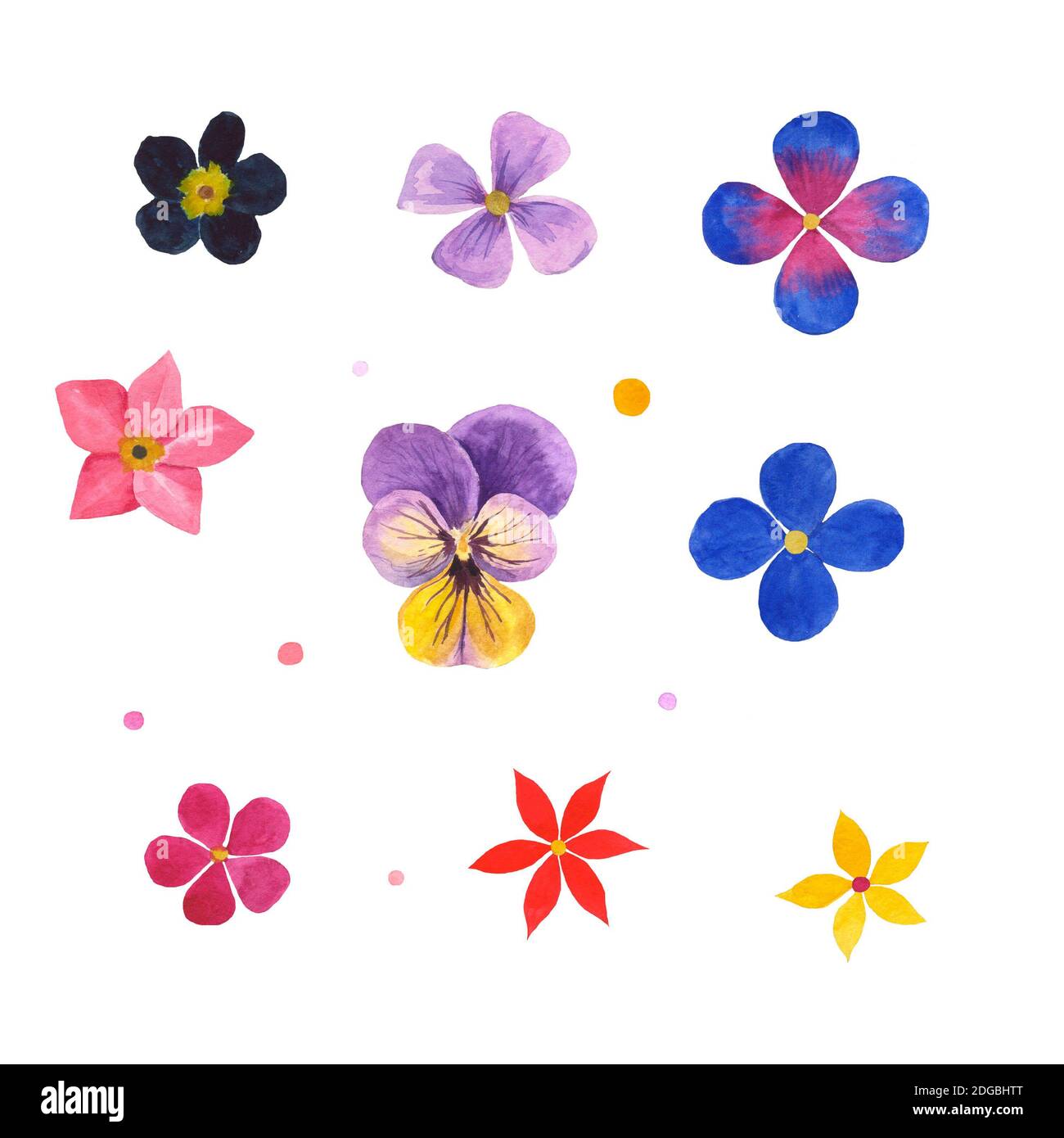 Flowers different colors small Cut Out Stock Images & Pictures - Alamy