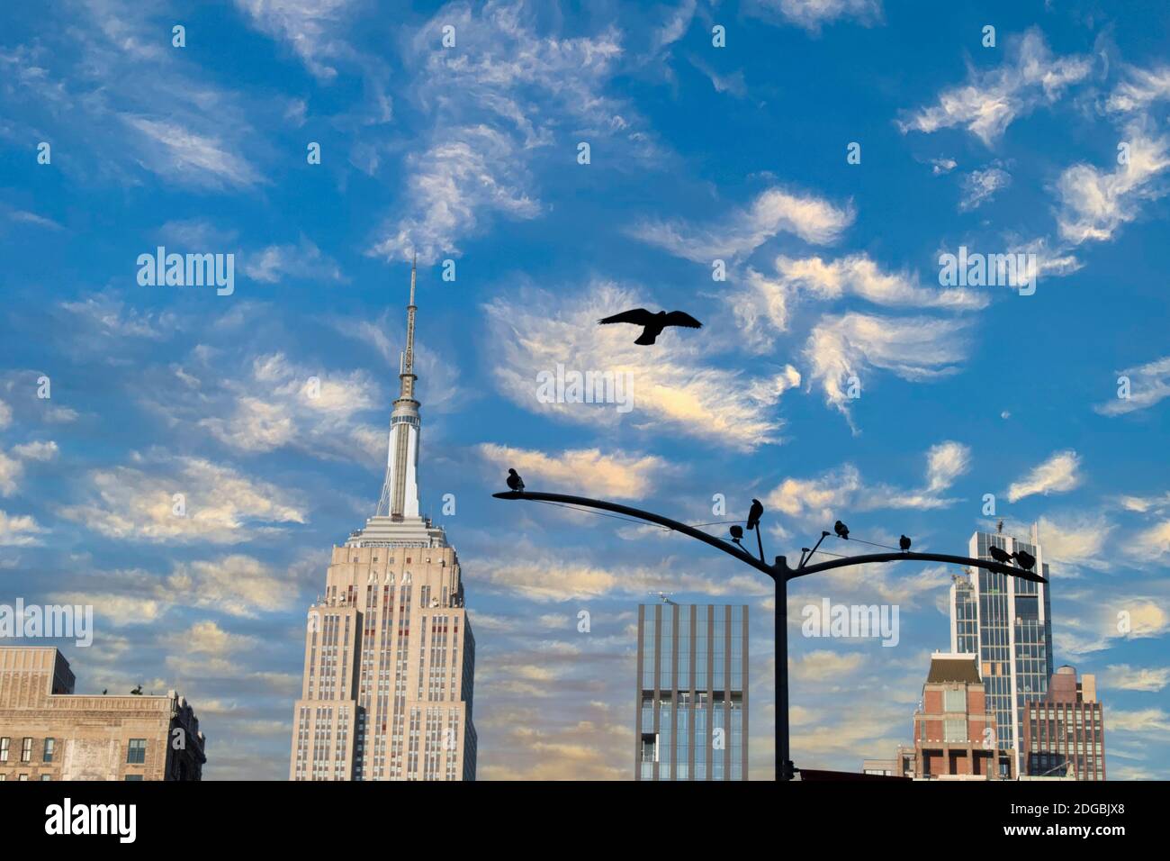 birds, clouds and background empire state building Stock Photo - Alamy
