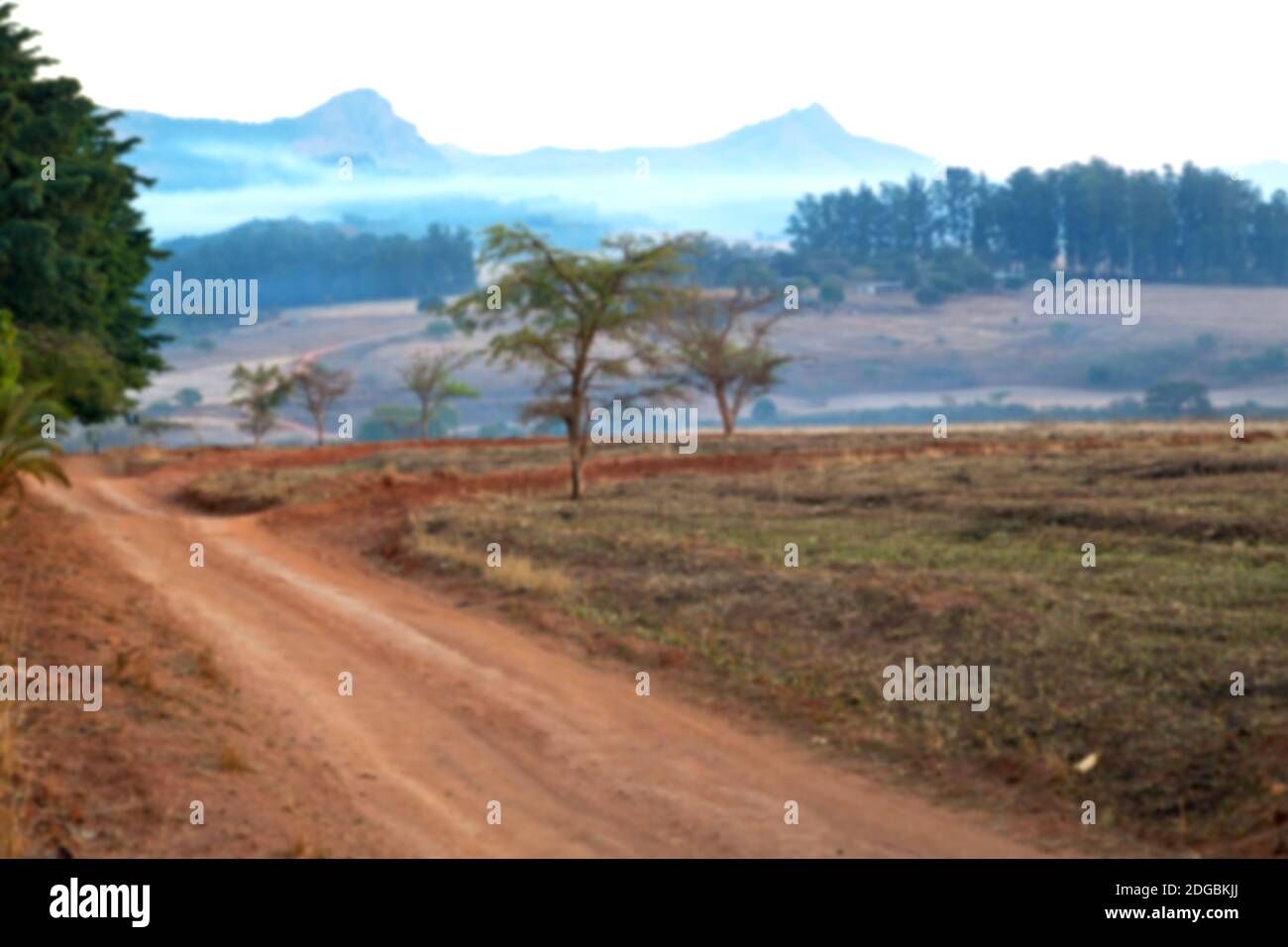 In swaziland wildlife nature reserve Stock Photo - Alamy