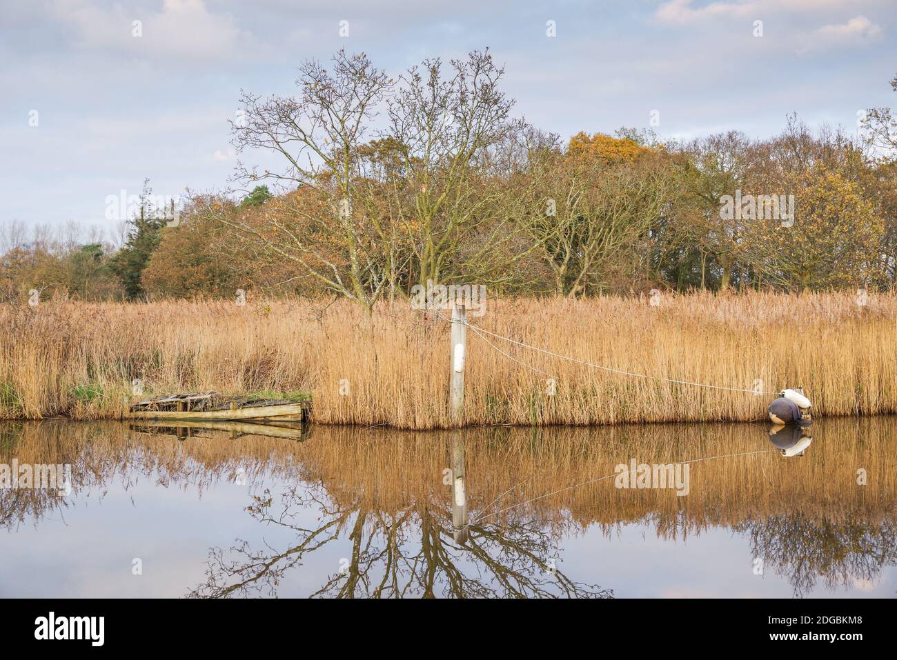 Stunning Horsey Mere at dusk - Norfolk, UK Stock Photo - Alamy