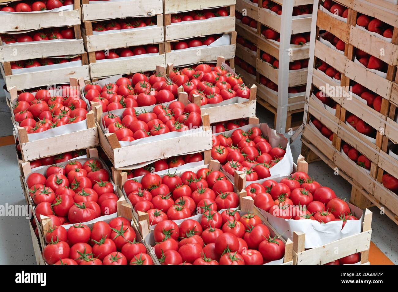 Crates of Red Tomatoes in Warehouse Storage Stock Photo - Alamy