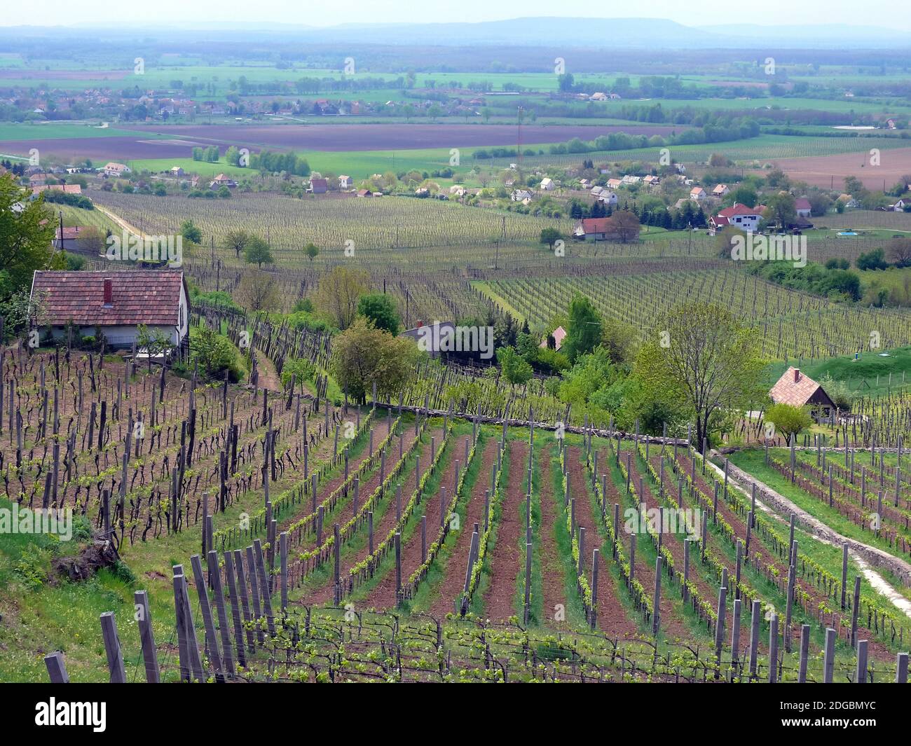 Somló hungary hi-res stock photography and images - Alamy