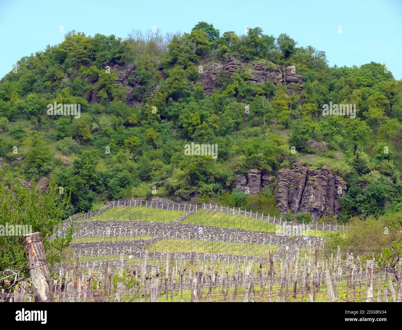 basalt columns, Somló mountain (431 meters), Hungary, Magyarország ...