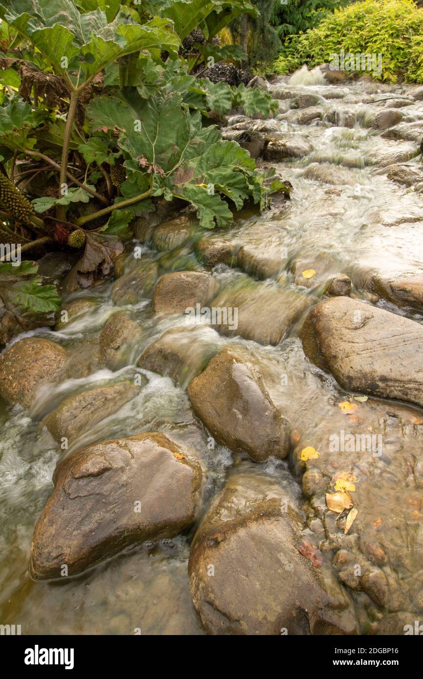 Intimate landscape of rocky stream bed with shallow flowing water Stock ...