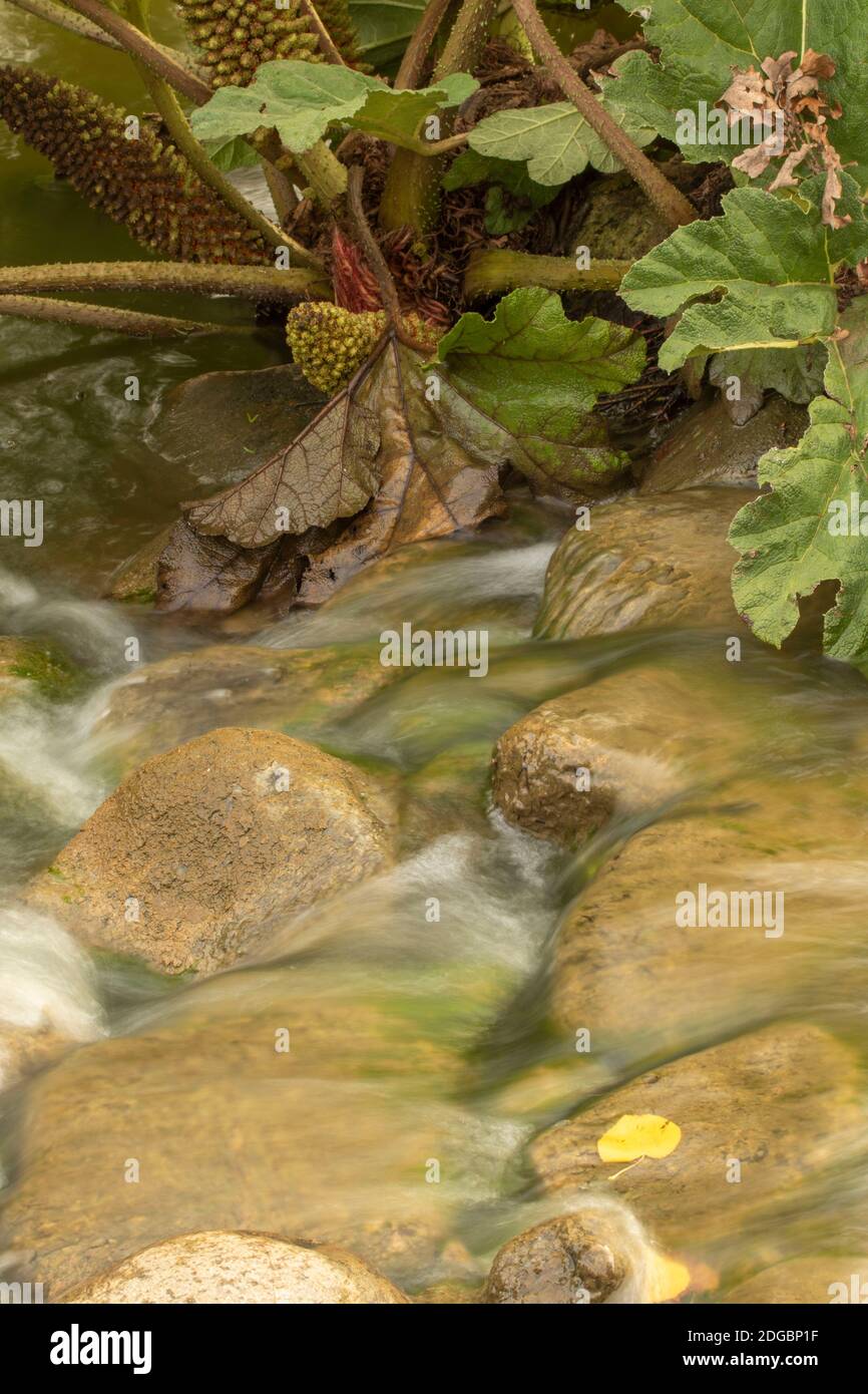 Intimate landscape of rocky stream bed with shallow flowing water Stock ...