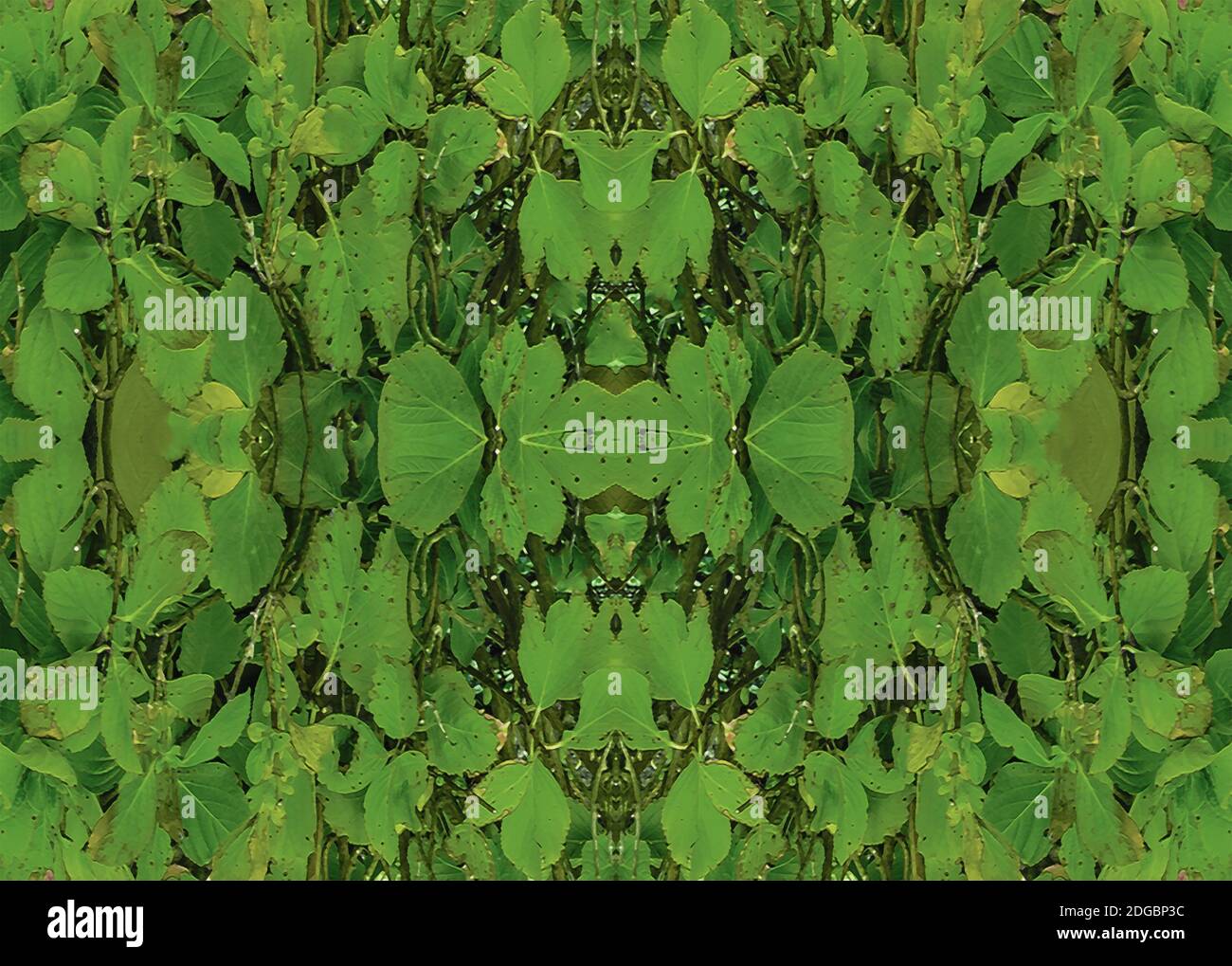 Digital Art Plants Collage Seamless Pattern Stock Photo - Alamy
