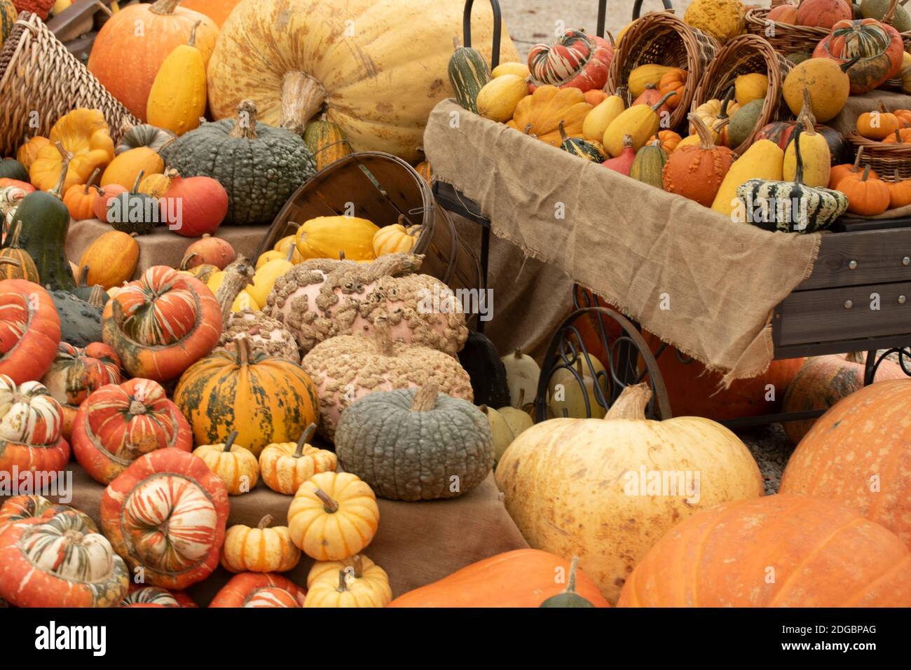 Stingy jack hi-res stock photography and images - Alamy