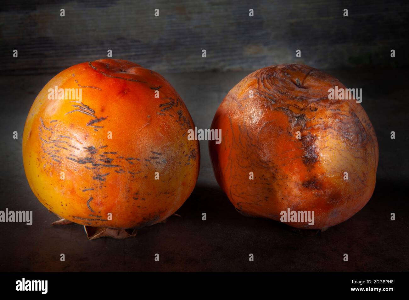 Two Very Ripe and Sweet Persimmon Fruits. The last Phase of Ripening ...
