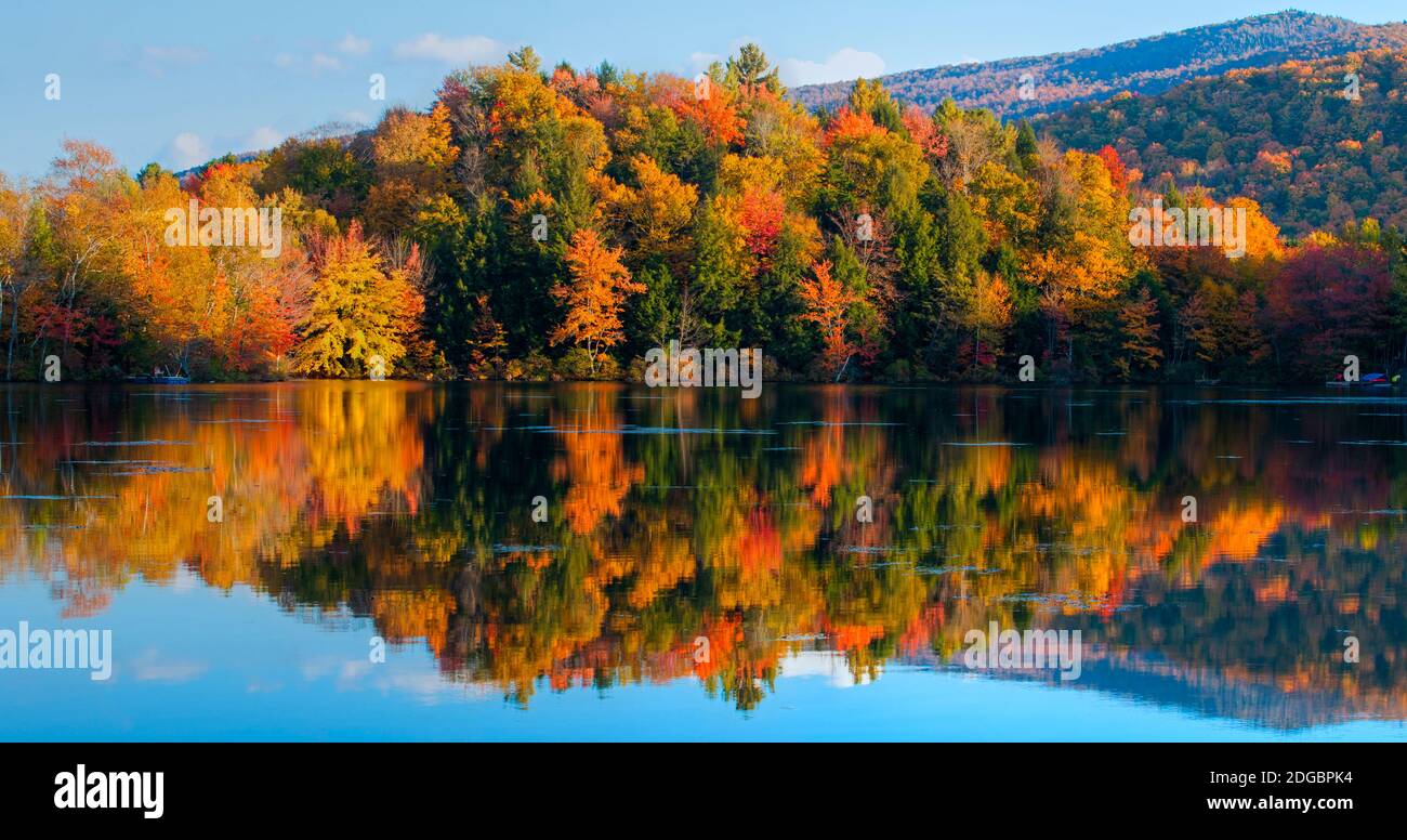 Canada quebec trees hi-res stock photography and images - Alamy