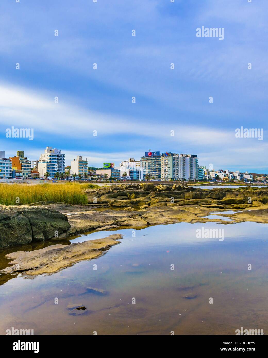Malvin hi-res stock photography and images - Alamy