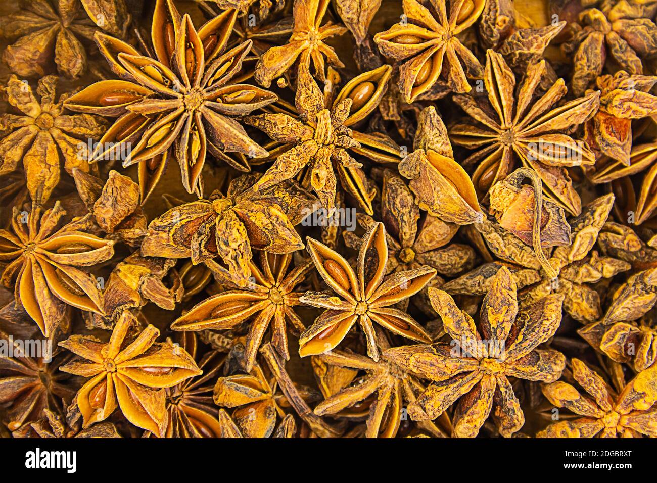 Star anise plant hi-res stock photography and images - Alamy