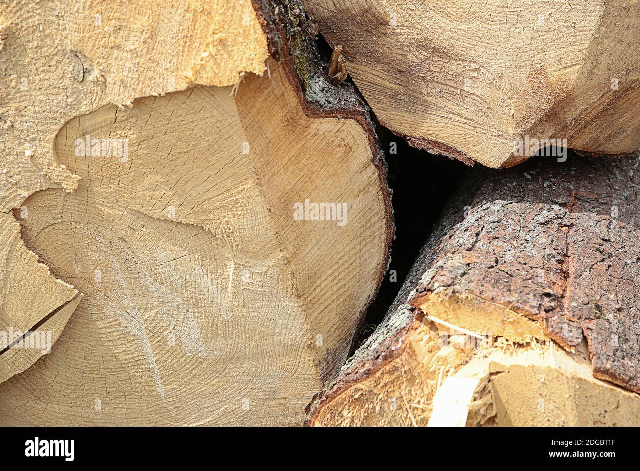 Uneven logs hi-res stock photography and images - Alamy