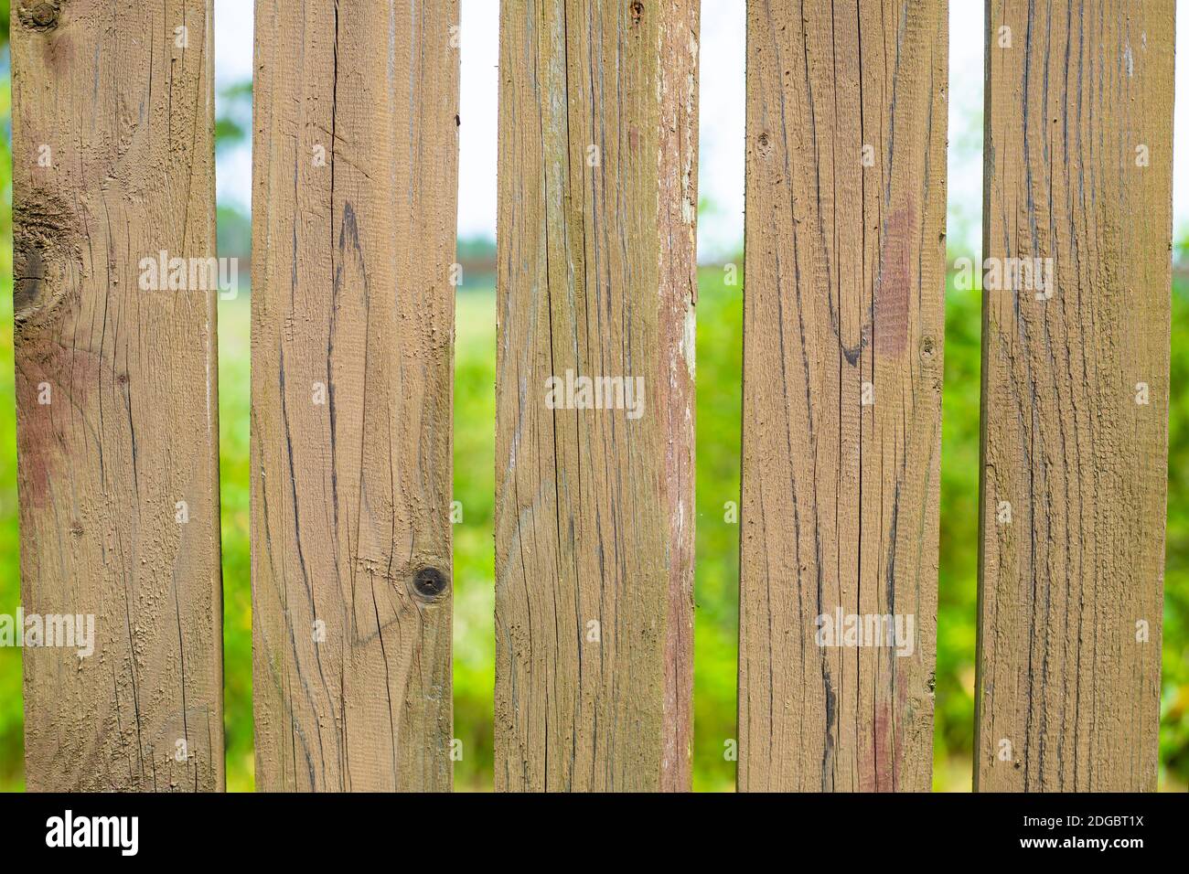 Light beige wooden fence with gaps, vertical boards on a green field ...