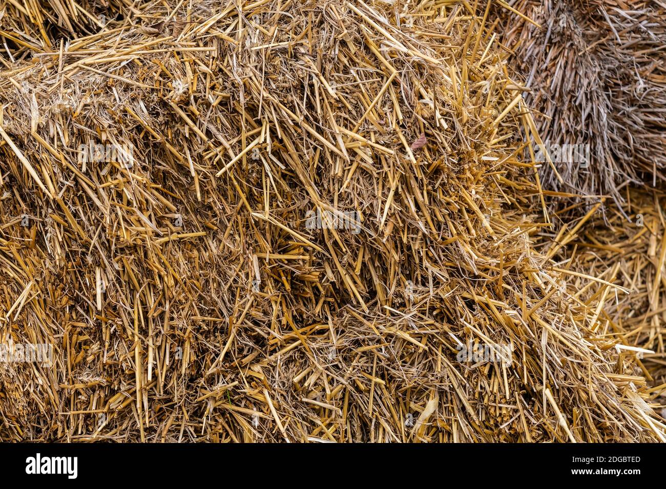 Dried hay bale hi-res stock photography and images - Alamy