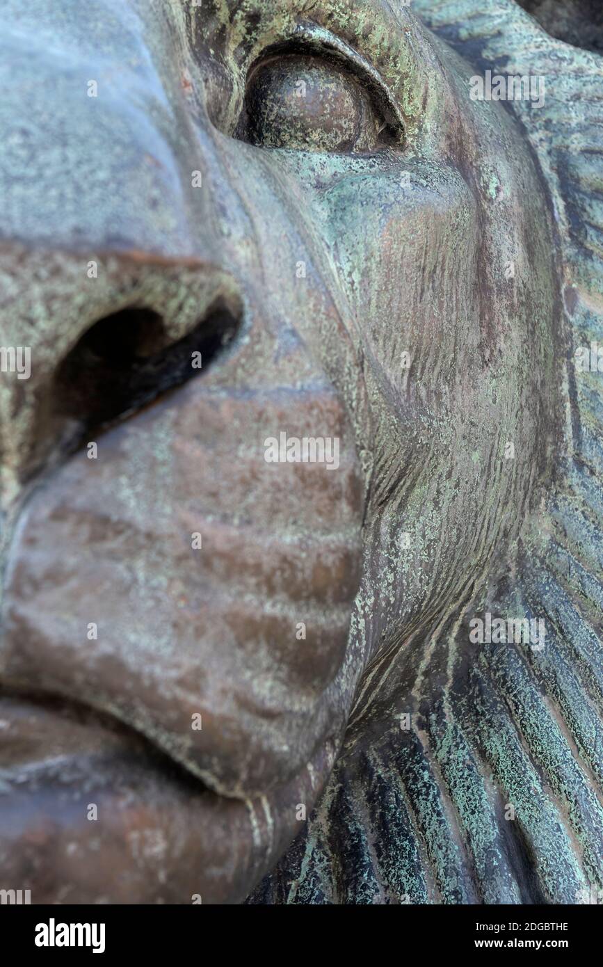 Lion face selective focus bronze statue extreme close up detail details ...