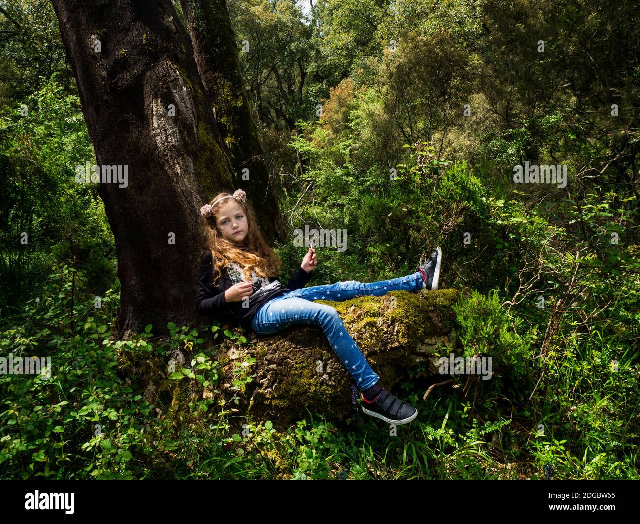 Portrait of a girl sitting on a tree in the forest, Italy Stock Photo ...