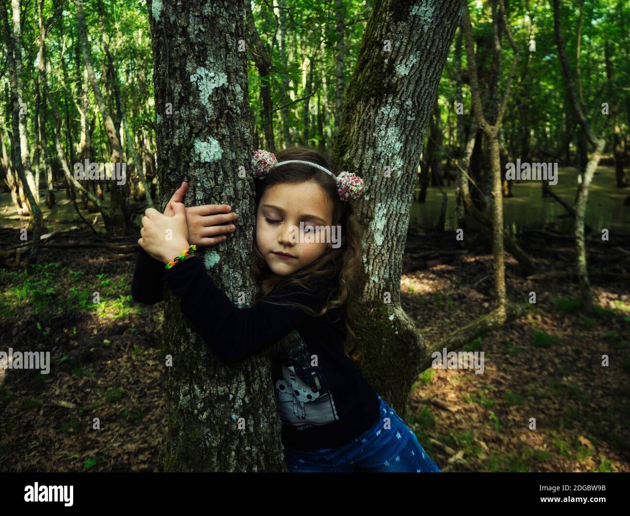 Hugging tree hi-res stock photography and images - Alamy