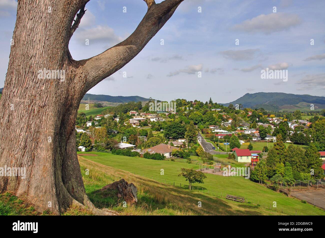 Tokoroa new zealand hi-res stock photography and images - Alamy