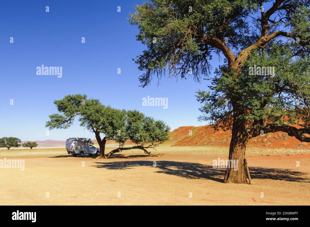 Motorhome stands in the shade under an acacia tree in the Namib Desert ...