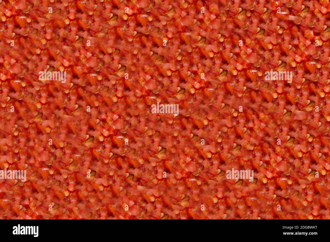 Tomato sliced texture hi-res stock photography and images - Alamy