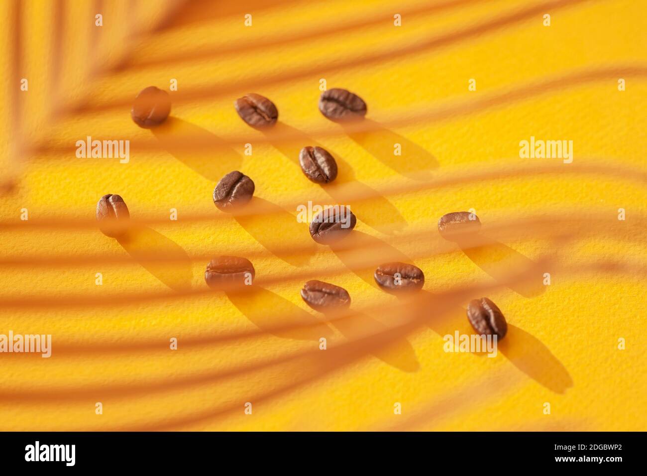 Coffee beans close-up on solar tropical yeellow background with the ...