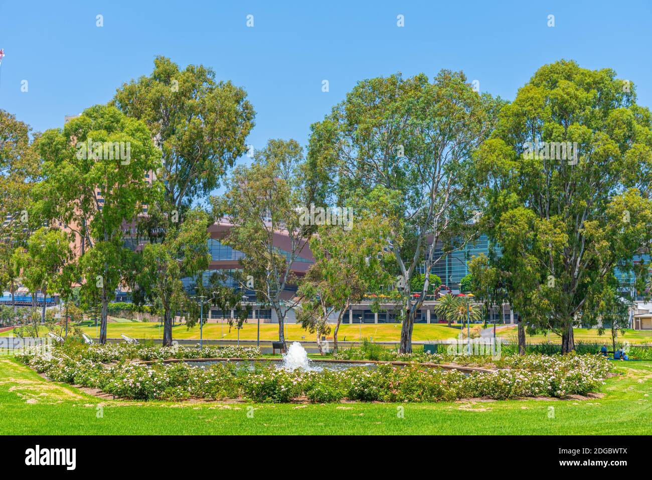 Park alongside Torrens river in Adelaide, Australia Stock Photo - Alamy