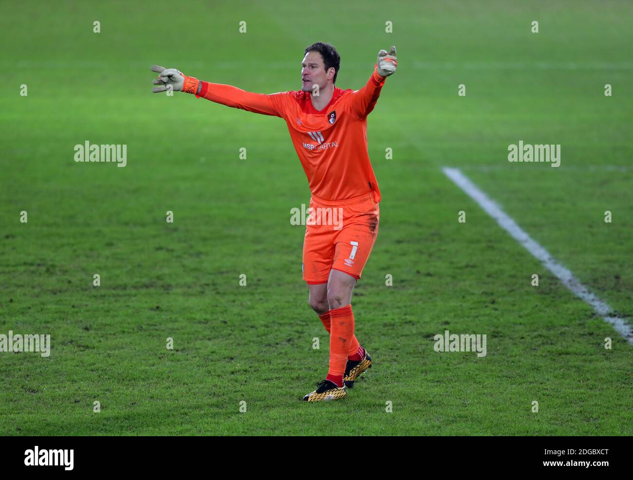 AFC Bournemouth goalkeeper Asmir Begovic during the Sky Bet ...