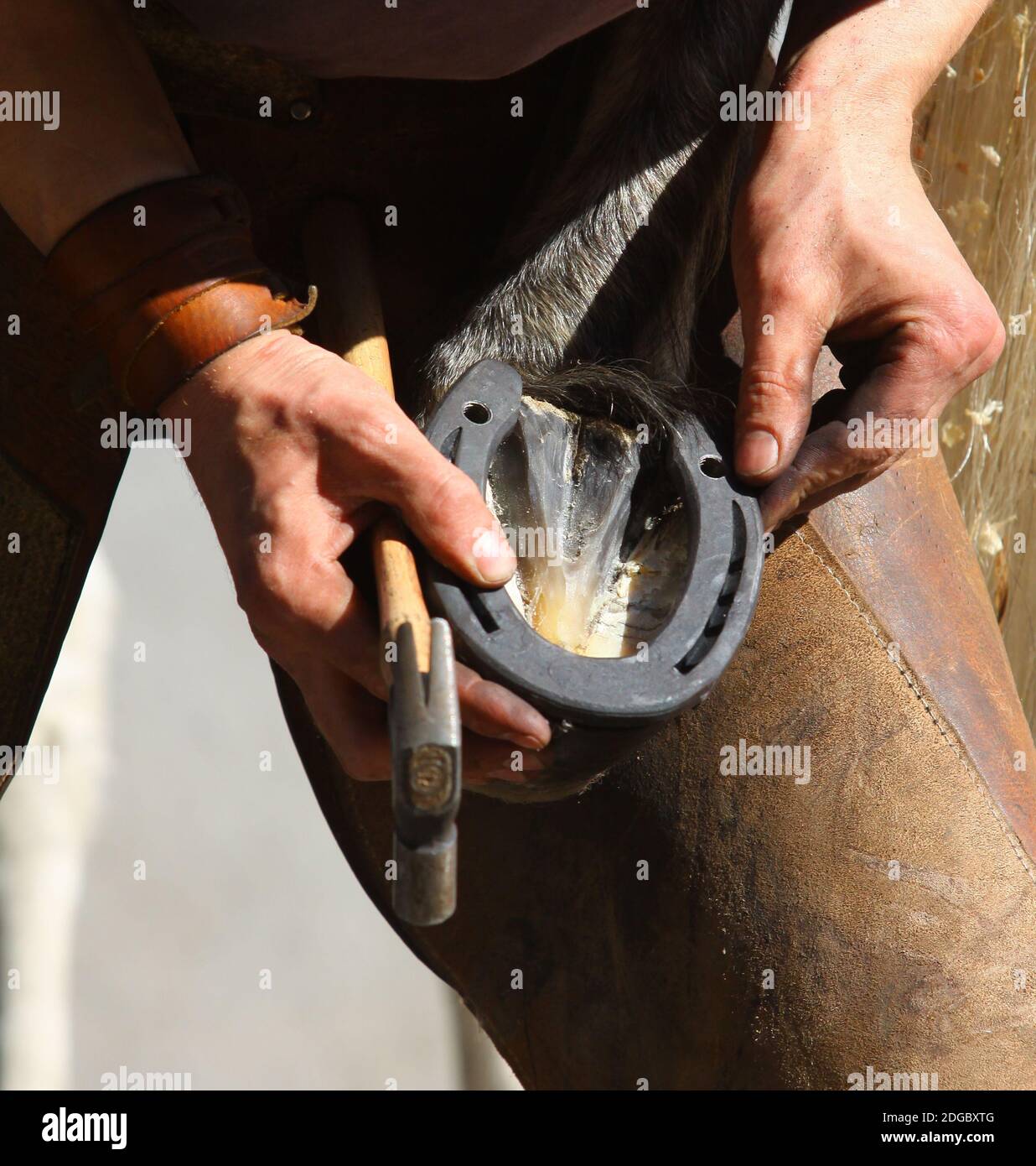 Farrier hi-res stock photography and images - Alamy