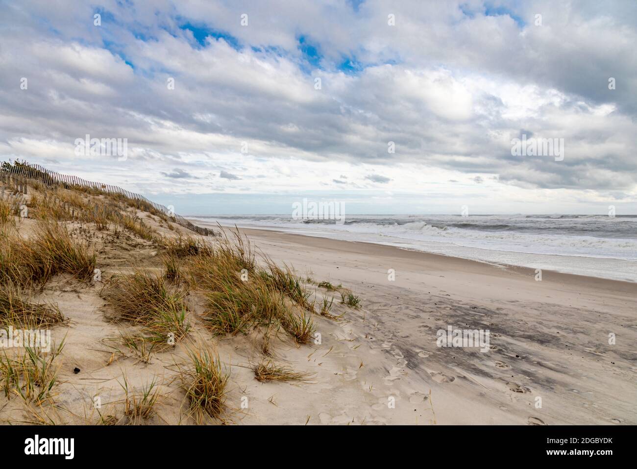 Landscape of the dunes and ocean at Town line Beach, Wainscott, NY ...