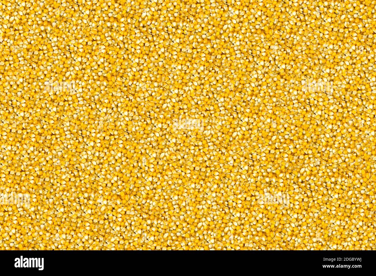 Dry corn popcorn corn pattern texture food light snack bright picture ...