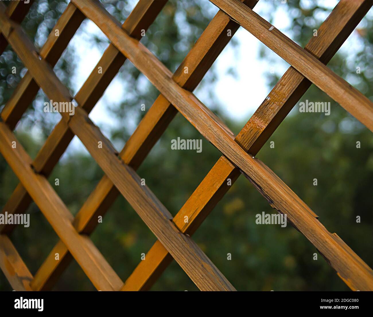 Dark brown wooden grille with oblique diamond-shaped holes natural ...