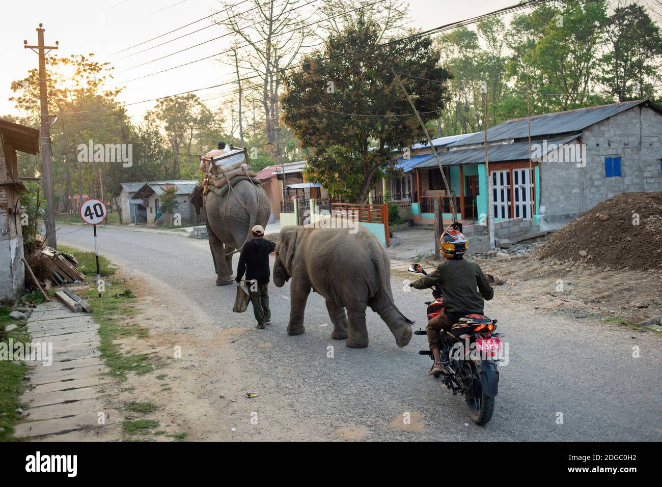 Daily Life in Sauraha, Chitwan National Park, Nepal Stock Photo - Alamy
