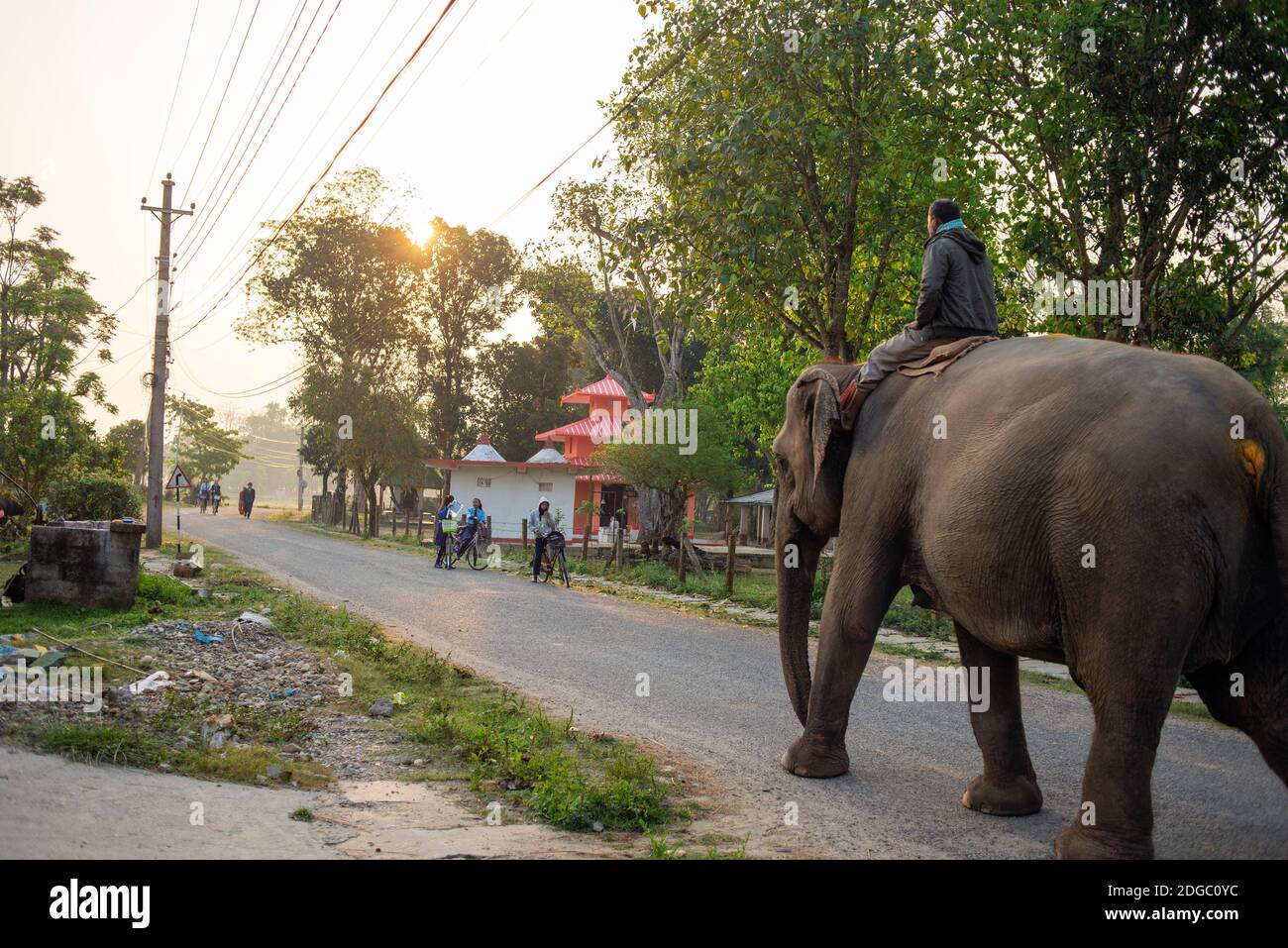 Daily Life in Sauraha, Chitwan National Park, Nepal Stock Photo - Alamy
