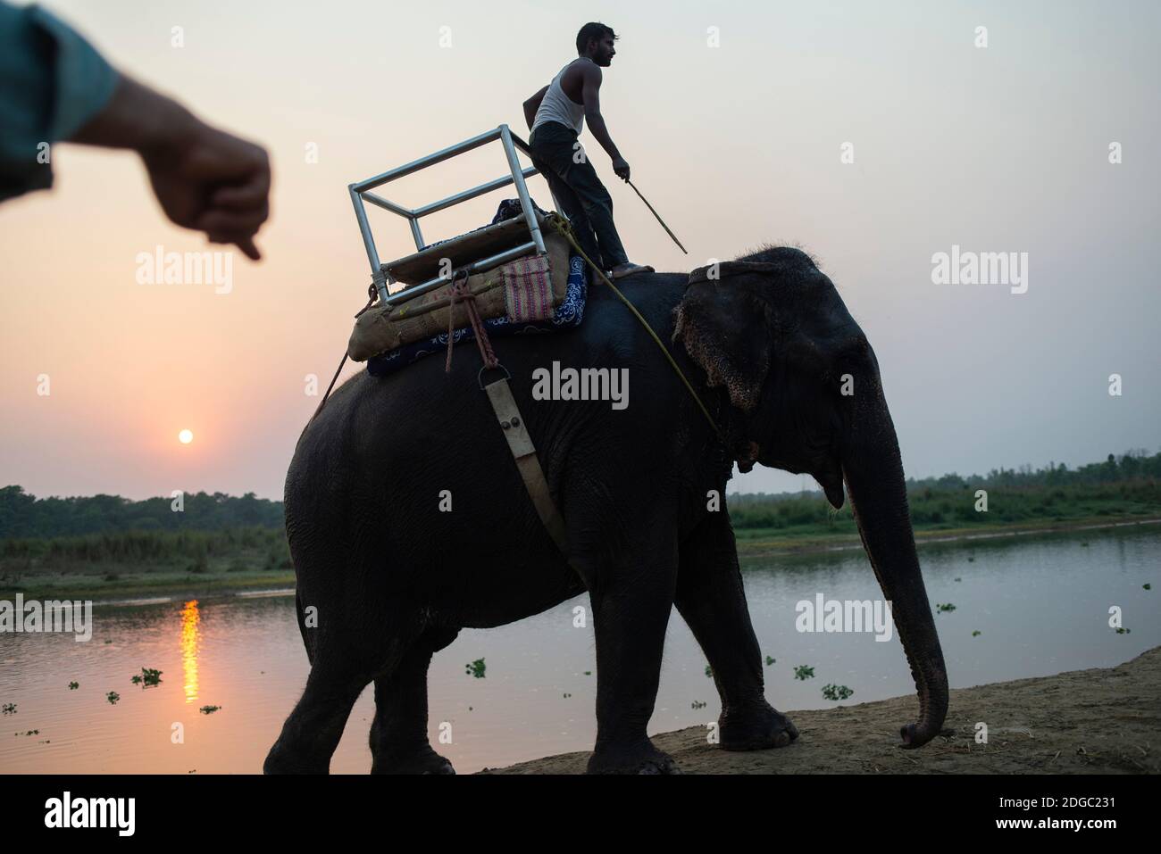 Daily Life in the Rapti River, Sauraha, Chitwan National Park, Nepal ...
