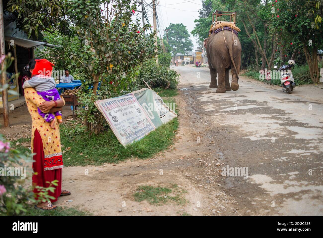Daily Life in Sauraha, Chitwan National Park, Nepal Stock Photo - Alamy