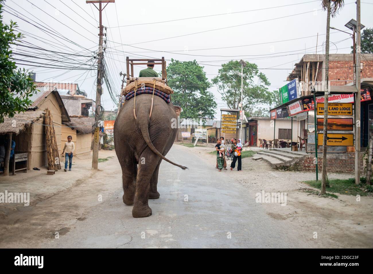 Daily Life in Sauraha, Chitwan National Park, Nepal Stock Photo - Alamy
