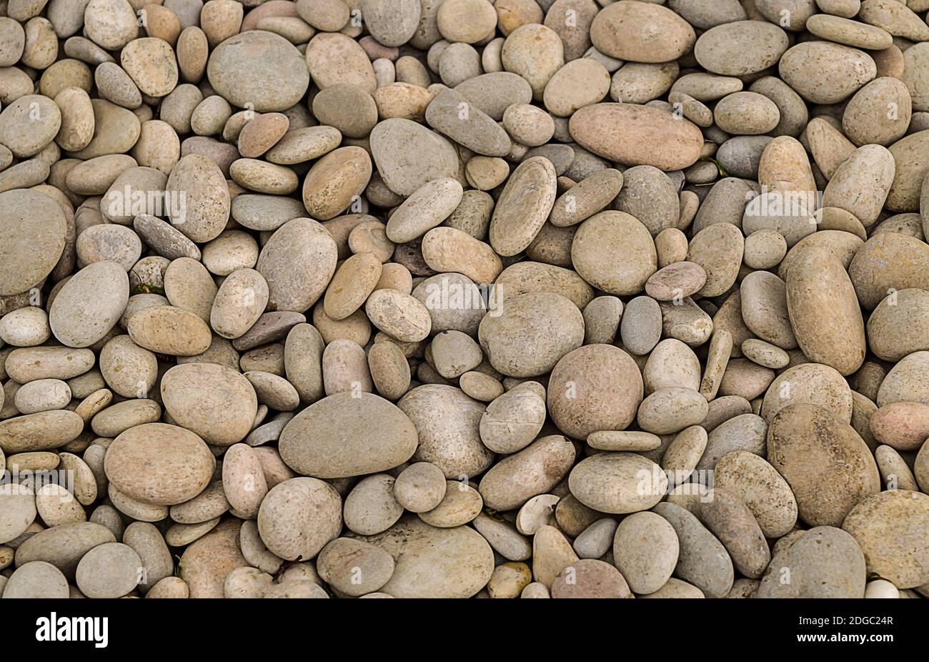 Stone river pebble beige gray natural background Stock Photo - Alamy