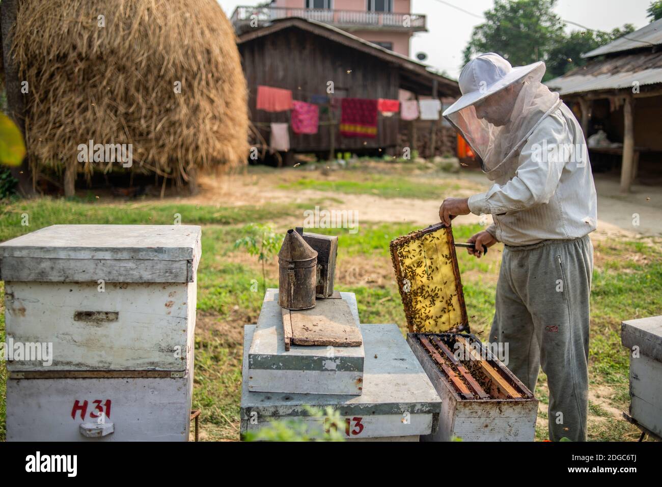 Agriculture conservation bee organic hi-res stock photography and ...