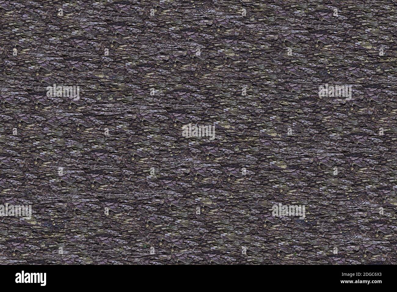 Dark bark tree hi-res stock photography and images - Alamy