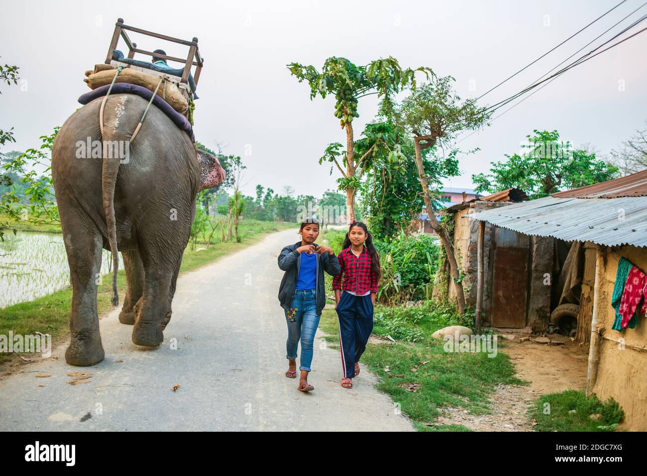 Daily Life in Sauraha, Chitwan National Park, Nepal Stock Photo - Alamy