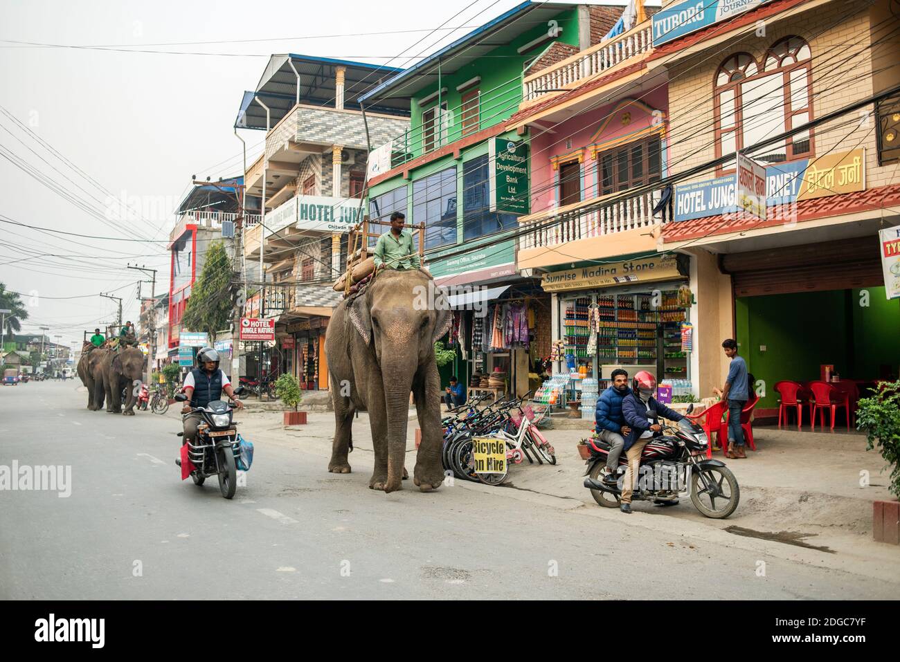 Daily Life in Sauraha, Chitwan National Park, Nepal Stock Photo - Alamy
