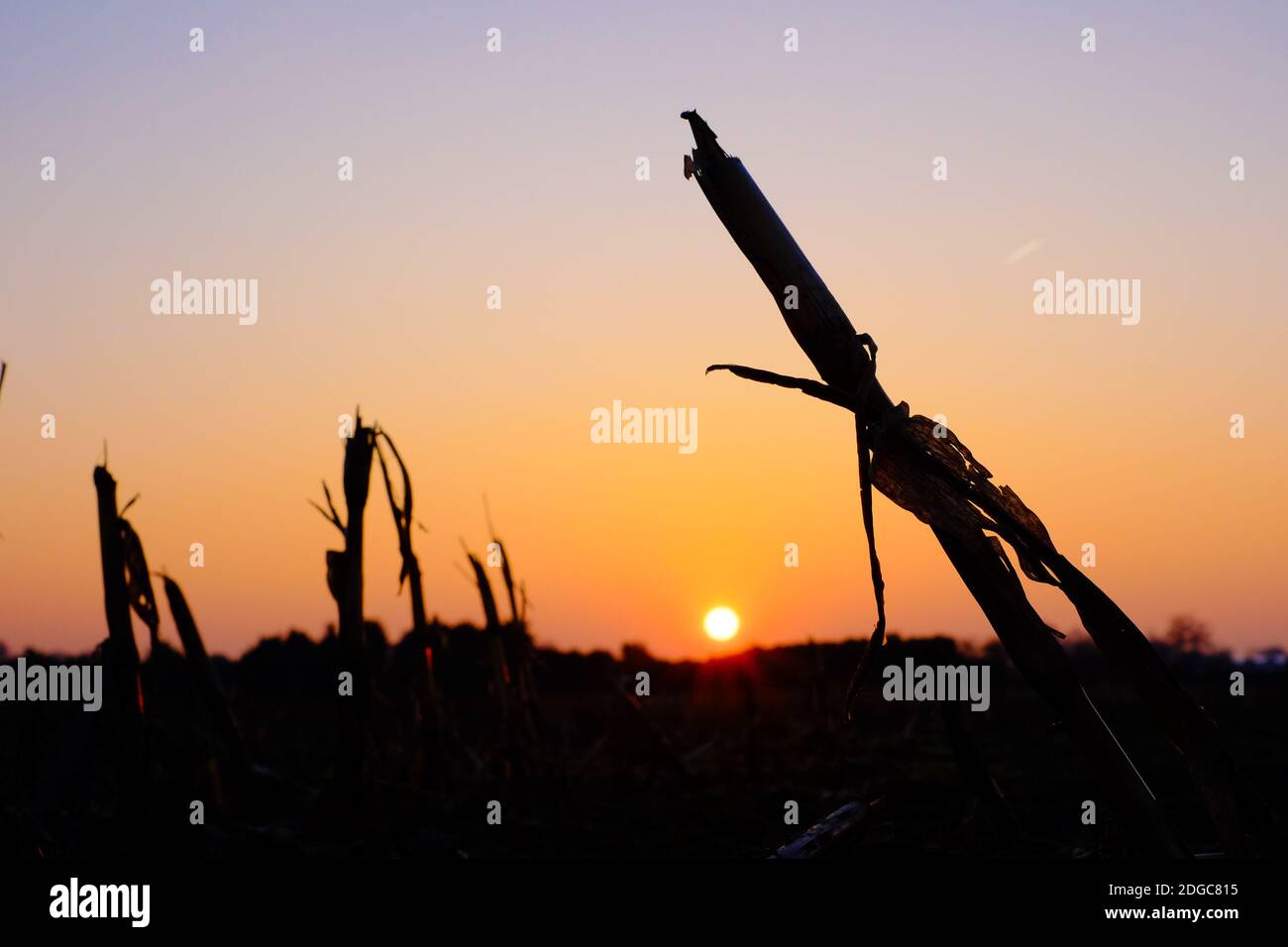 Countryside and sunset hi-res stock photography and images - Alamy