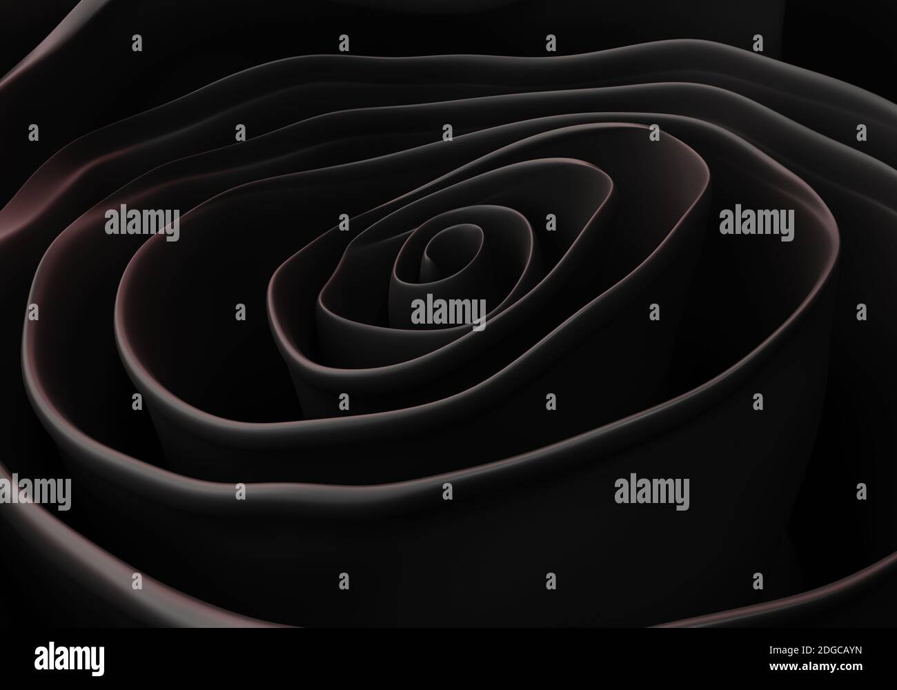 black rose close up, flower background, 3d render Stock Photo - Alamy